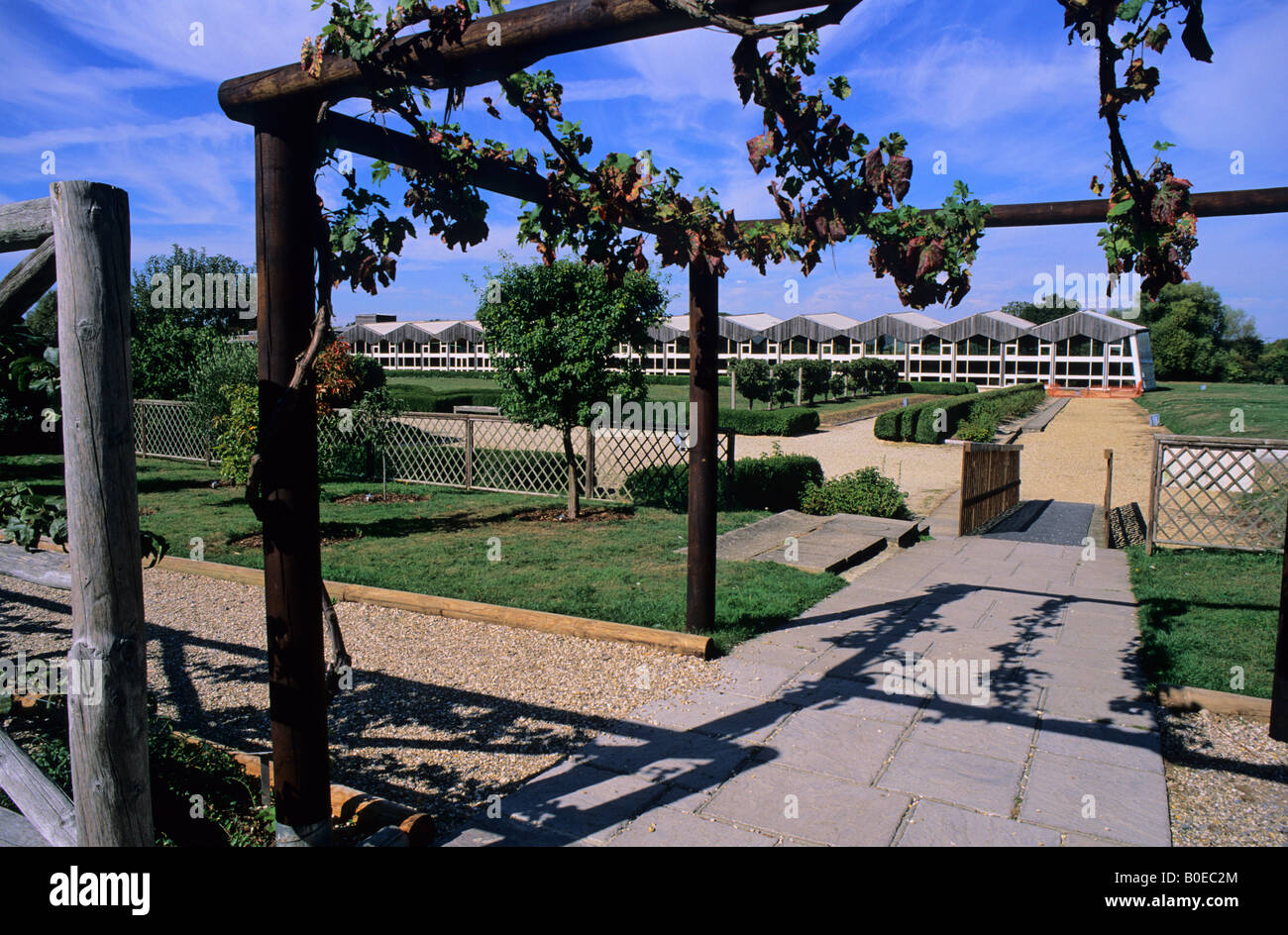 Roman Garden, Fishbourne Roman Palace and Museum near Chichester ...