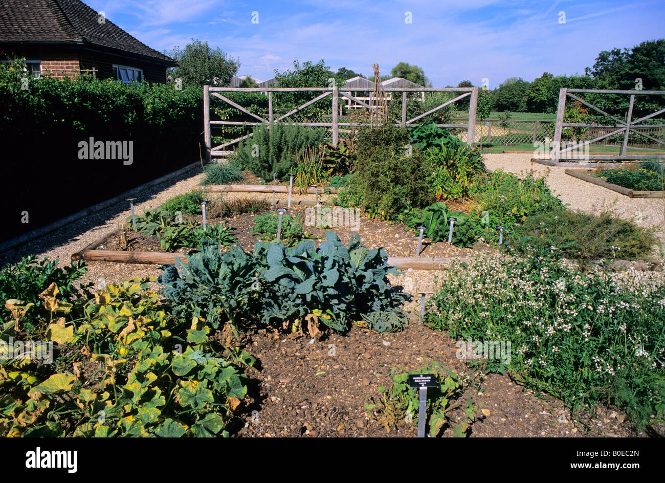 Roman Garden, Fishbourne Roman Palace and Museum near Chichester ...