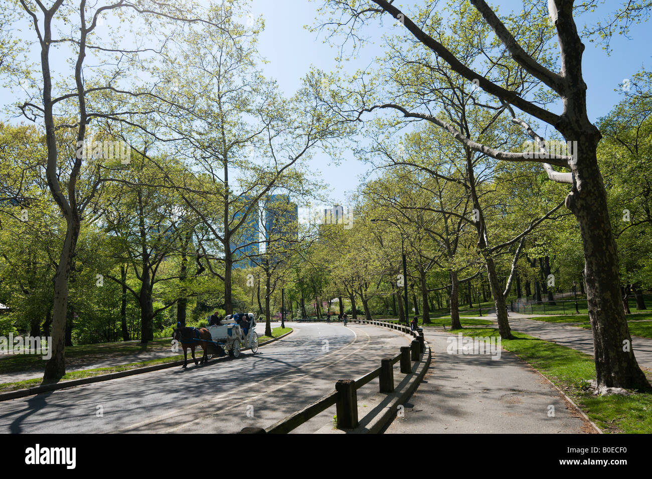 Horsedrawn Carriage Ride in Central Park in the Spring, Manhattan, New ...