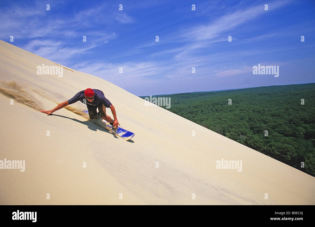Sandboarder racing down huge dune Stock Photo - Alamy
