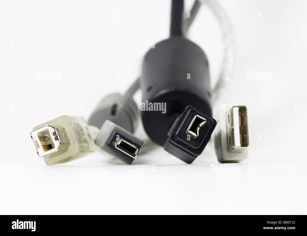 A close-up of various computer USB and firewire cable plugs Stock Photo ...
