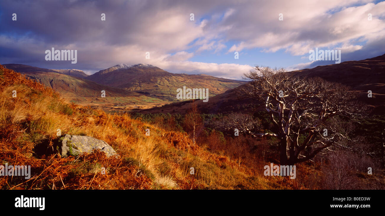 Tyndrum gold scotland hi-res stock photography and images - Alamy