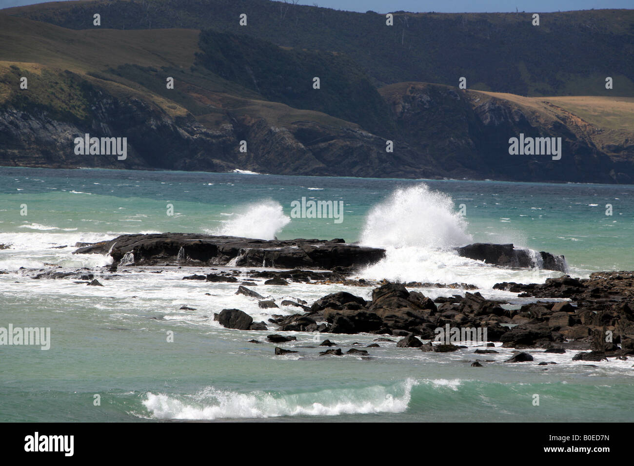 Catlins coast drive hi-res stock photography and images - Alamy
