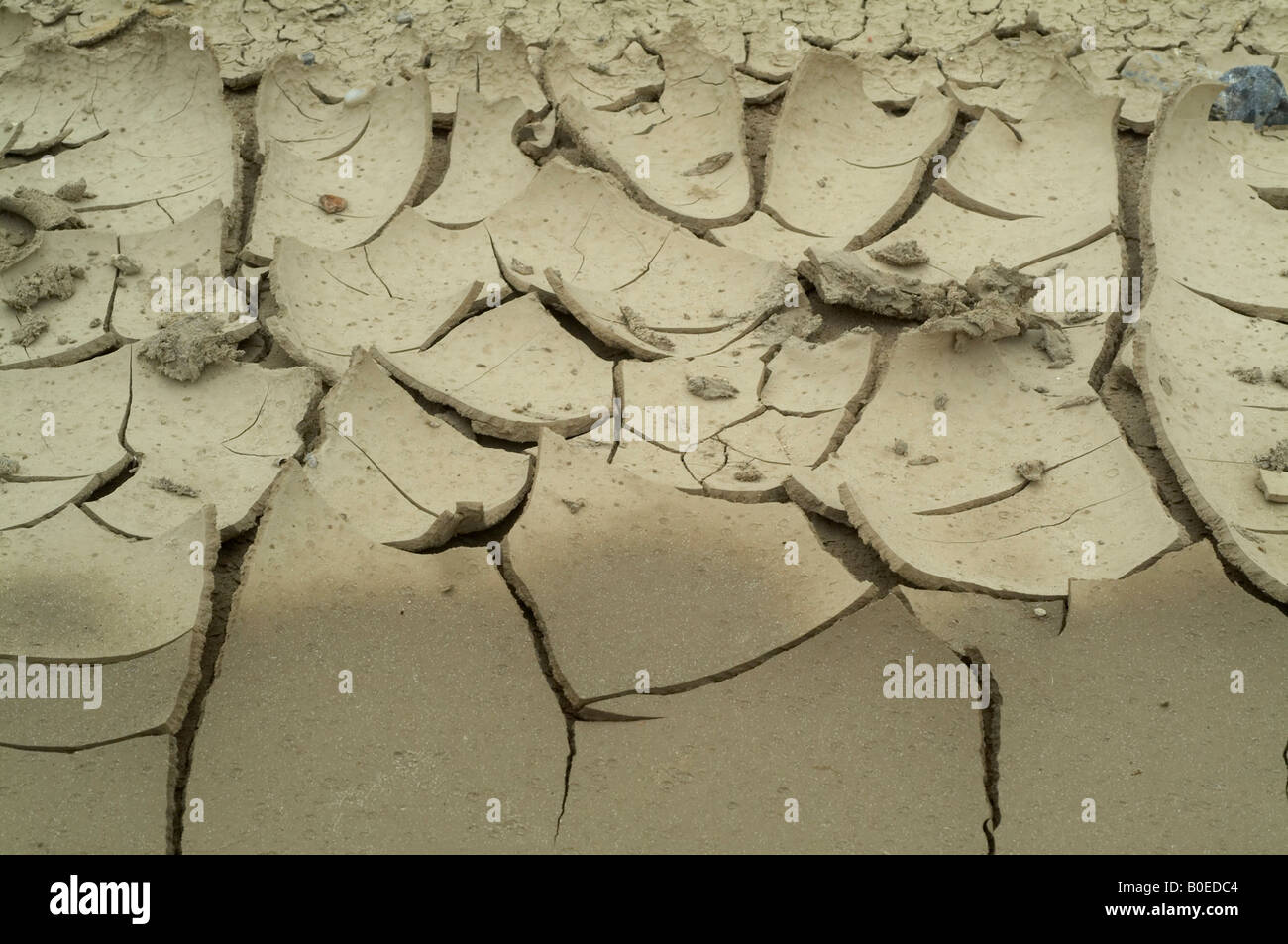 Loam soil hi-res stock photography and images - Alamy