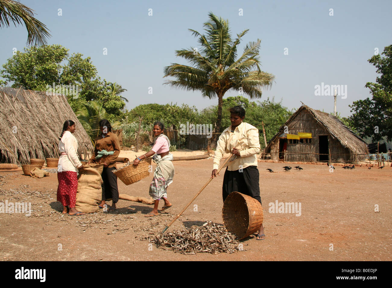 Goan Women High Resolution Stock Photography and Images - Alamy