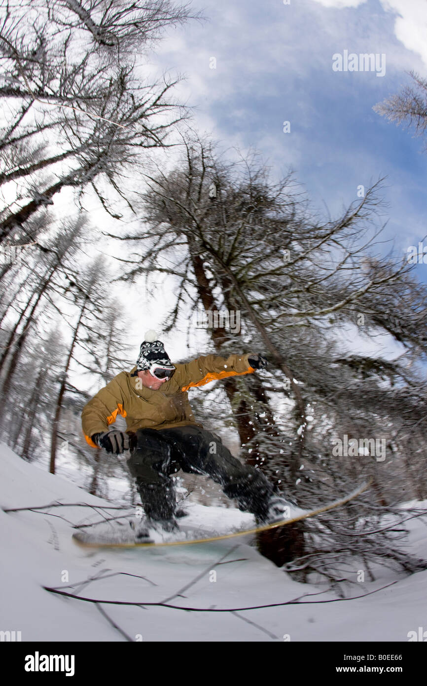 Snowboarder riding through trees off piste Stock Photo - Alamy