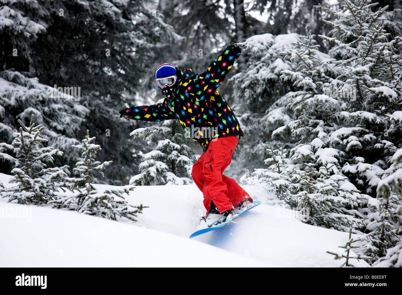 Snowboarder riding the trees in St Foy de Tarrentaise Stock Photo - Alamy