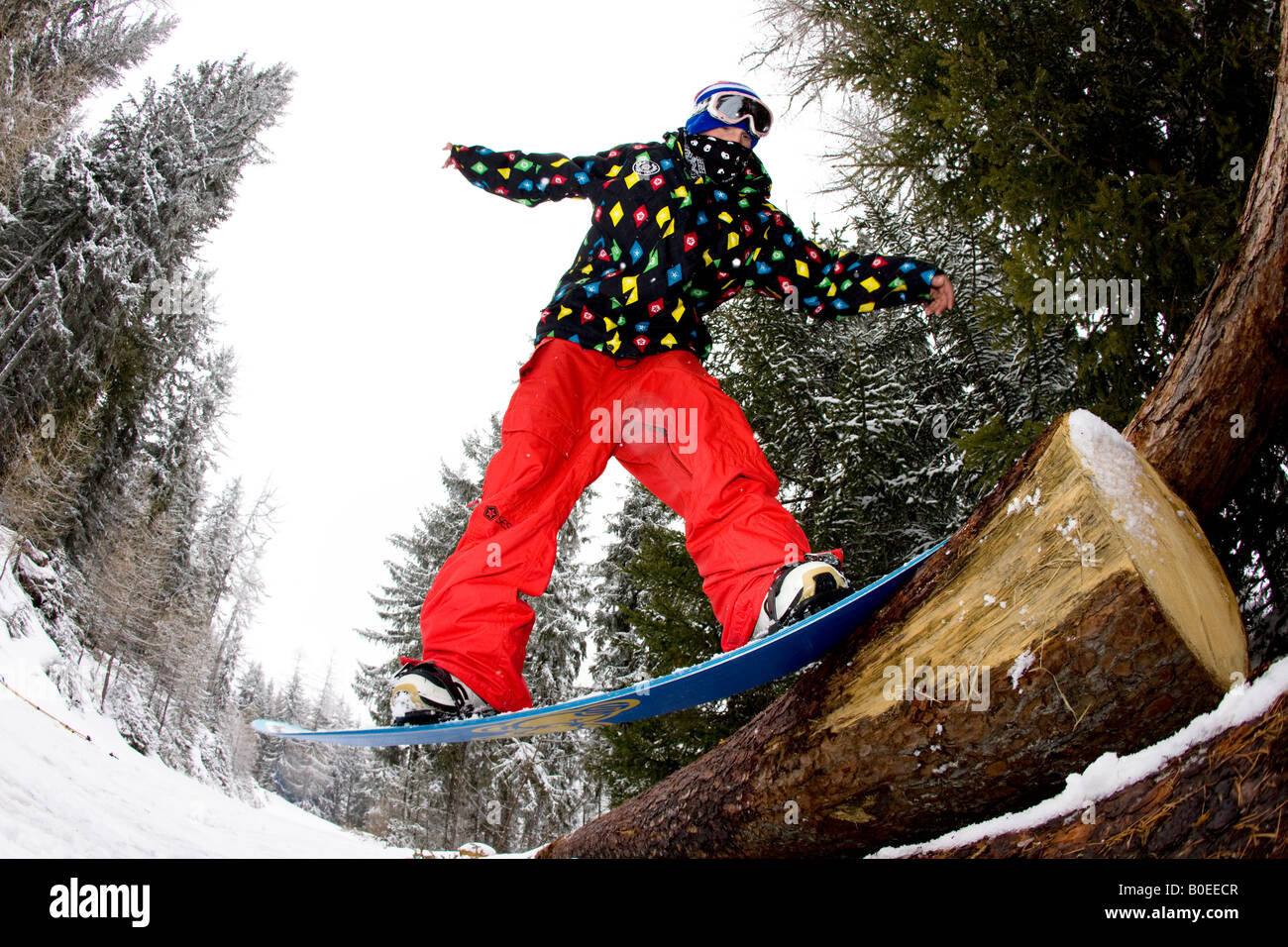 Alpine slides hi-res stock photography and images - Alamy