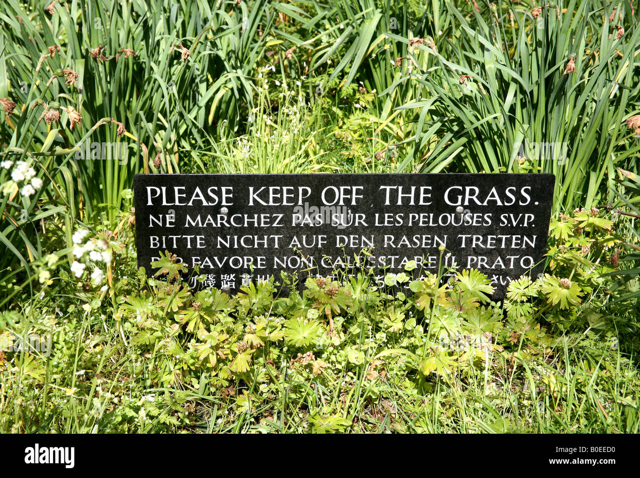 Keep off grass sign in hi-res stock photography and images - Alamy