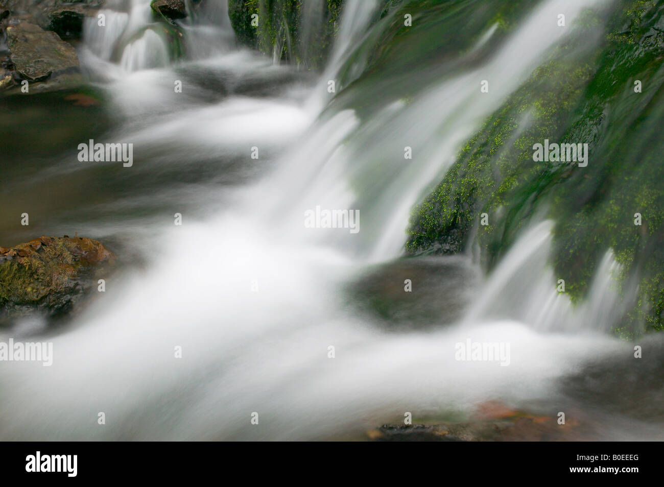 Dunnings creek hi-res stock photography and images - Alamy