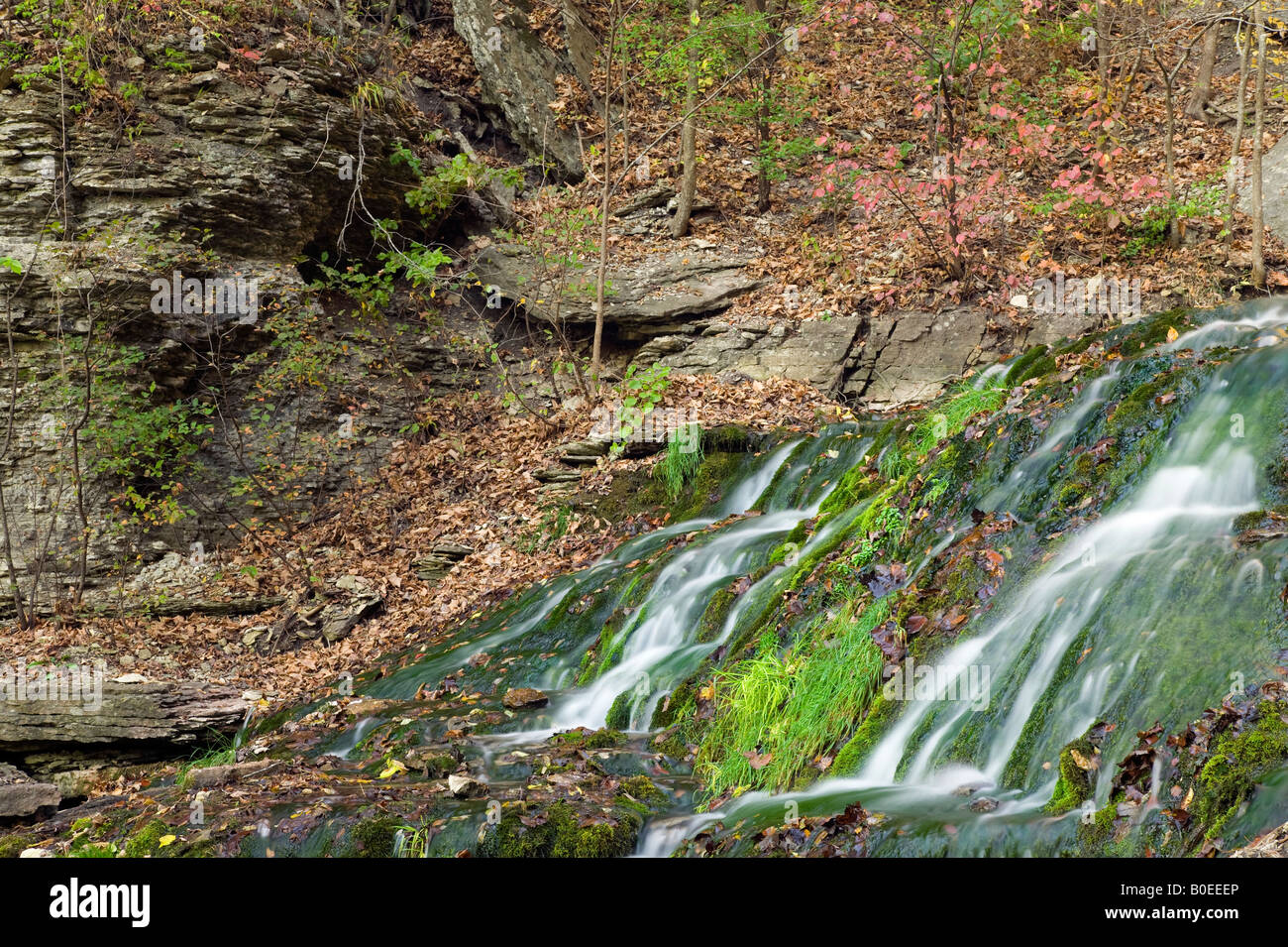 Dunning's Spring, Dunning's Spring City Park, Decorah, Iowa Stock Photo ...
