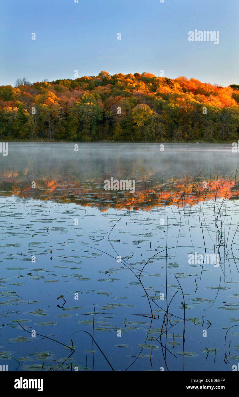 Grass Lake, Maplewood State Park, Minnesota Stock Photo - Alamy