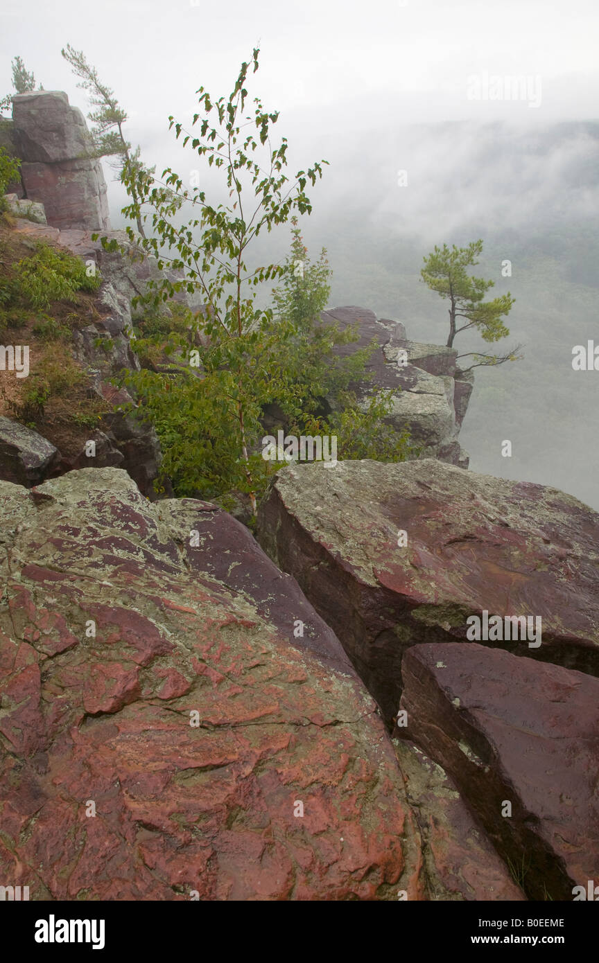 quartzite rock cliff, Devil's Lake State Park, Baraboo Hills, Wisconsin ...