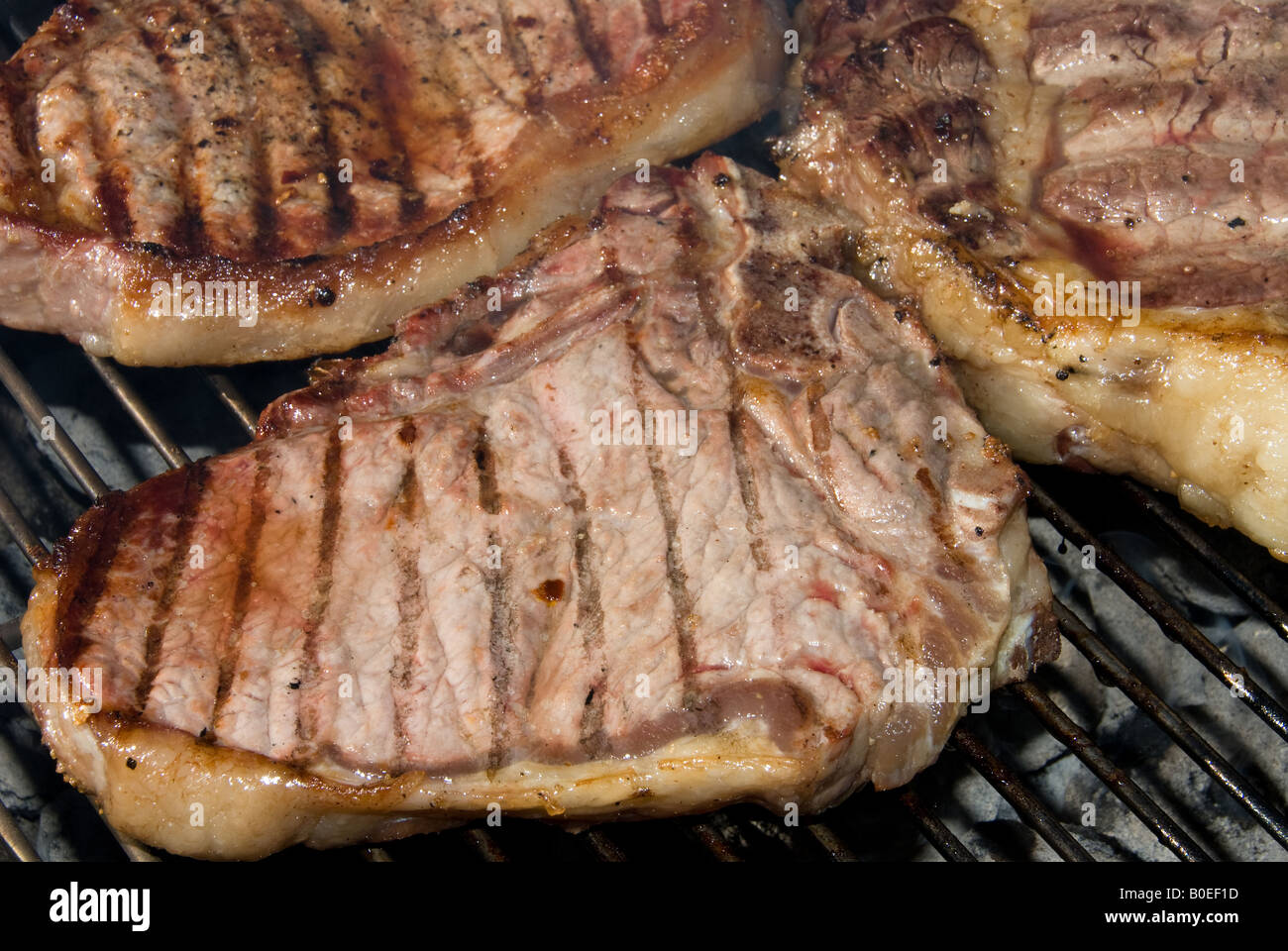 Grilled steaks rest on a barbecue grill waitring to be served Stock ...