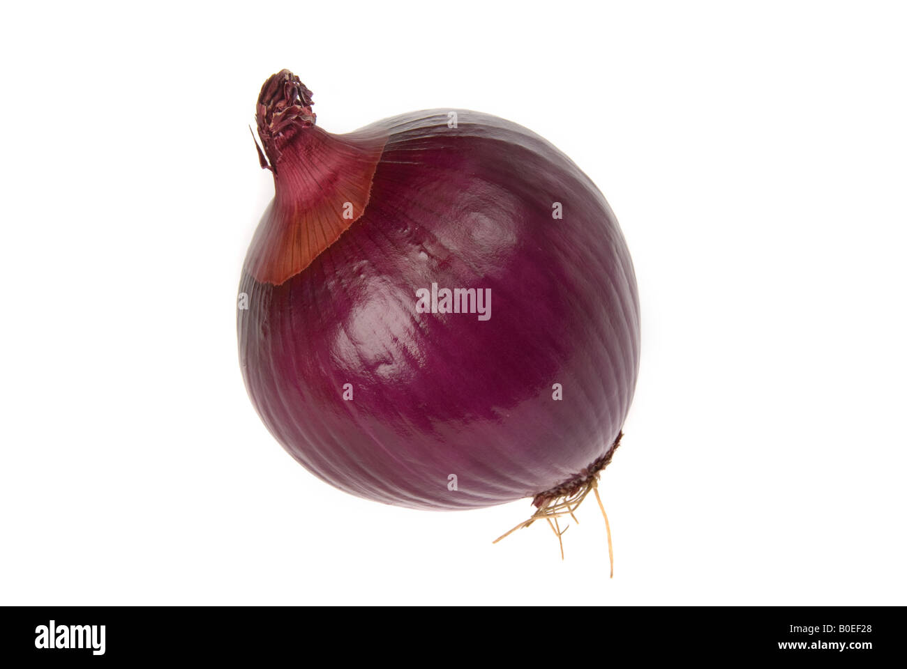 A beautiful red onion isolated on a white background Stock Photo - Alamy