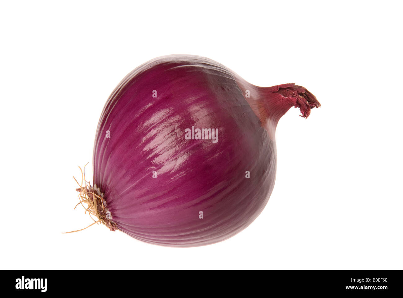 A beautiful red onion isolated on a white background Stock Photo - Alamy