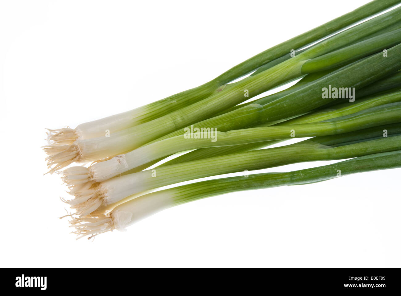 A batch of fresh green onions isolated on a white background Stock ...