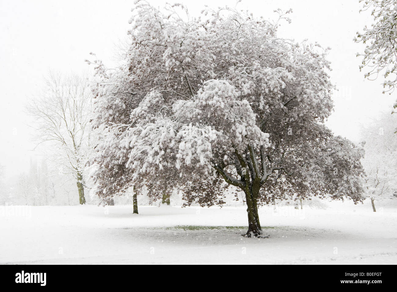 London snow scene hi-res stock photography and images - Alamy