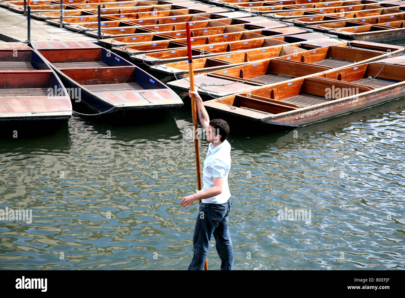 Man punting on River Cam in Cambridge Stock Photo - Alamy