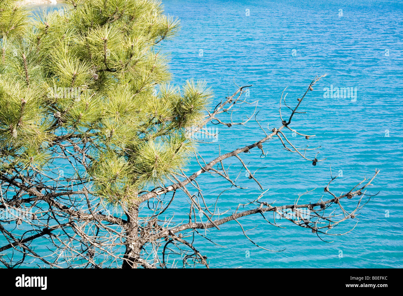 Ganhaizi hi-res stock photography and images - Alamy