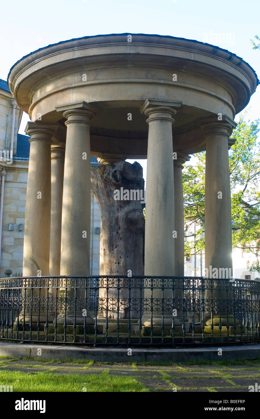 Tree of Gernika BASQUE COUNTRY Spain Stock Photo - Alamy