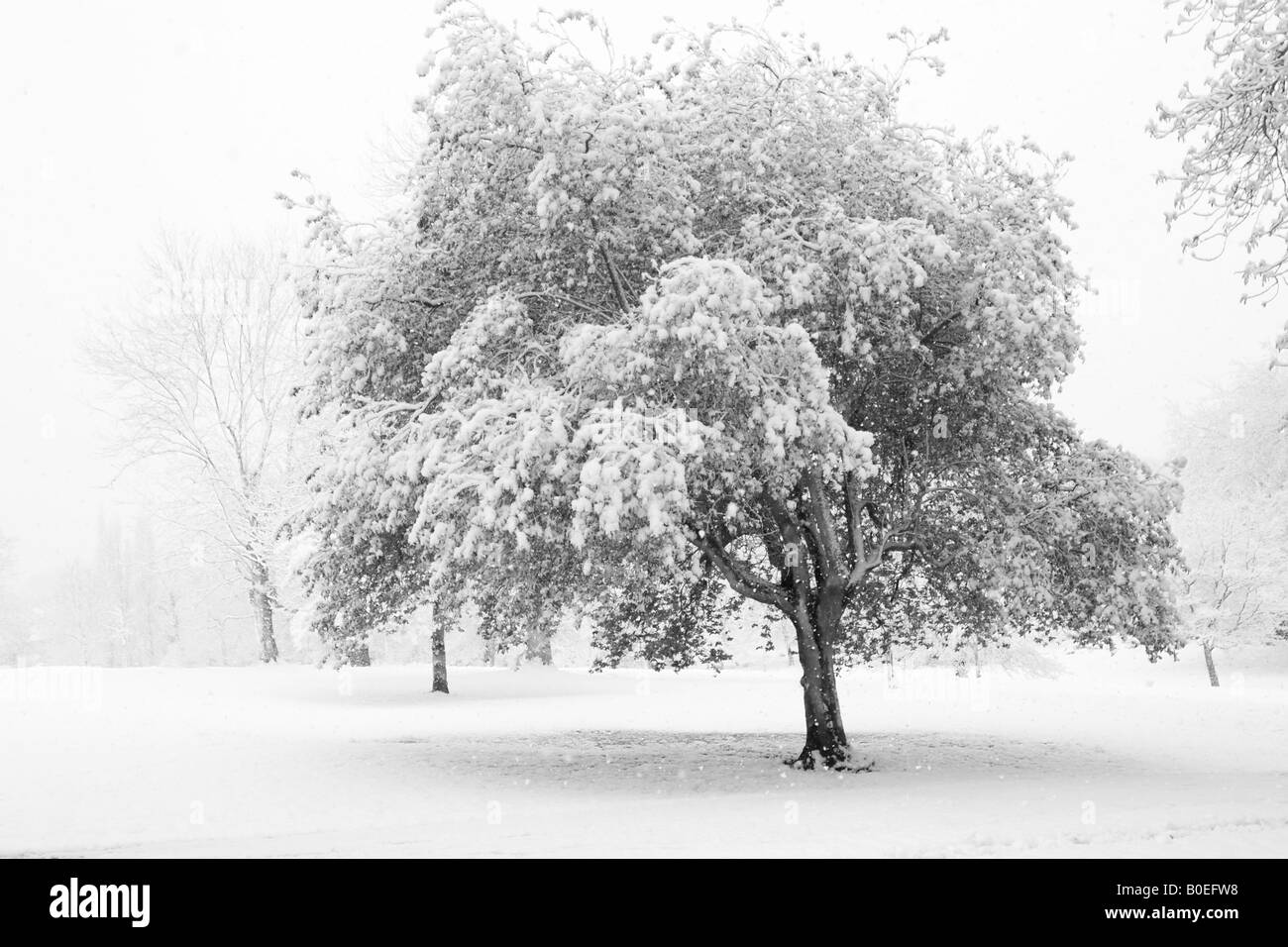 London snow scene hi-res stock photography and images - Alamy