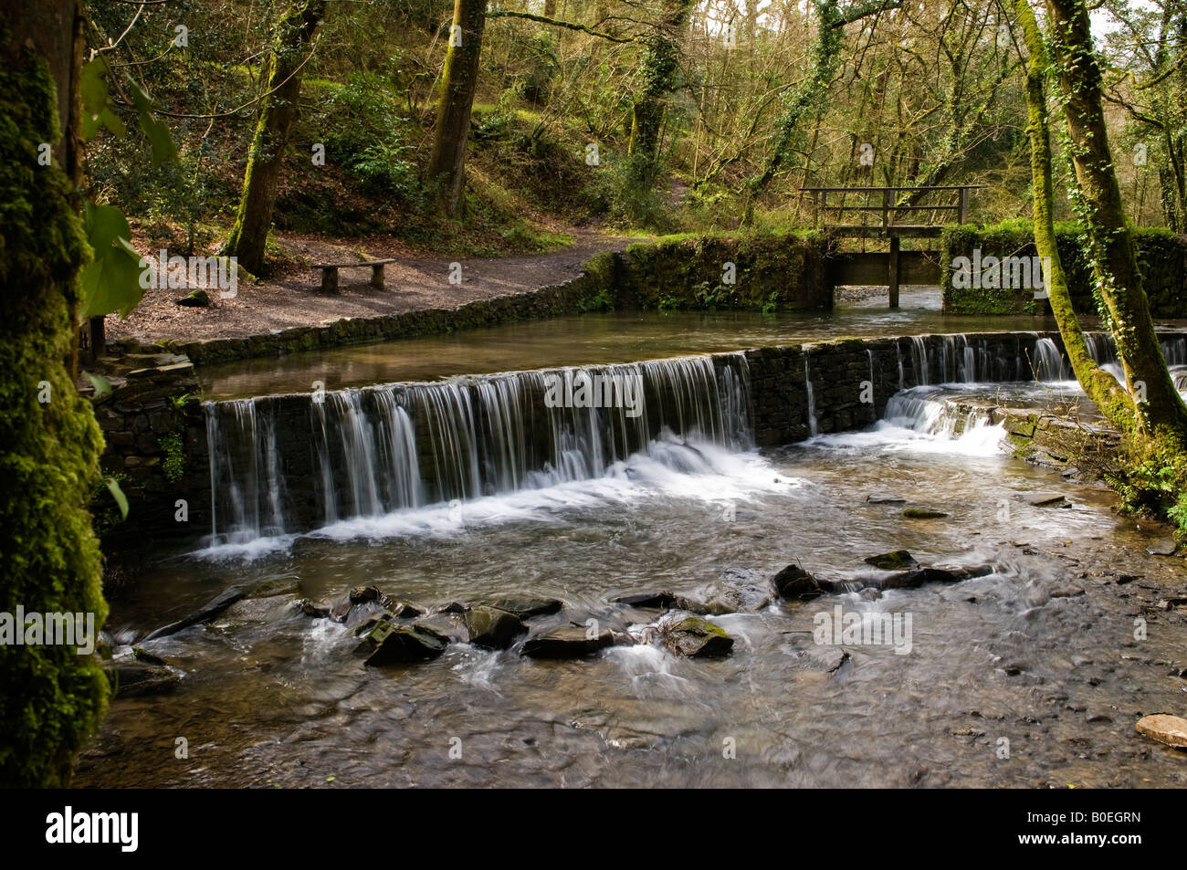 Looking past a weir near to Cothele Quay, Cornwall Stock Photo - Alamy