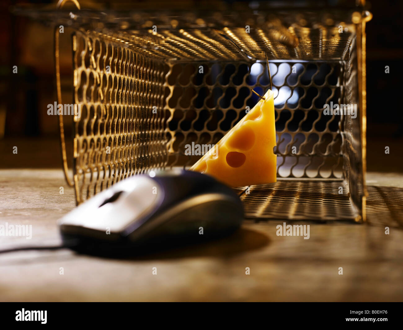 Mouse and the mouse trap Stock Photo - Alamy