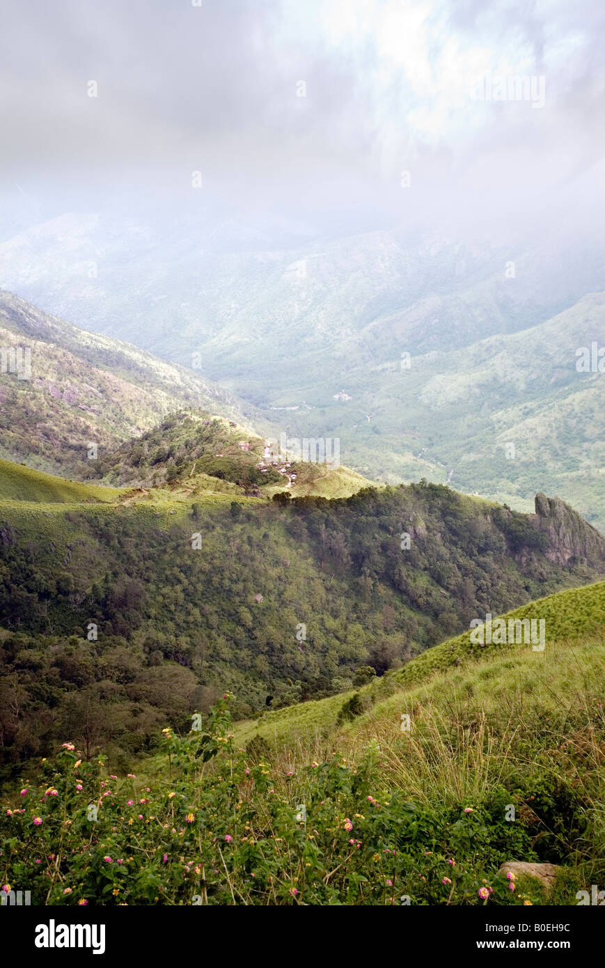 Panoramic view from Top Station Kerala India Stock Photo - Alamy