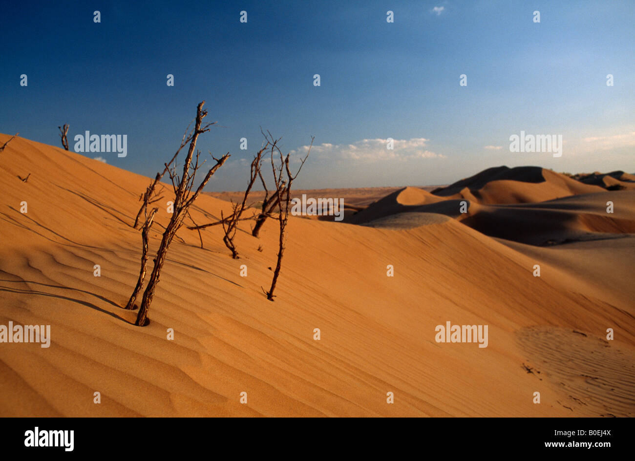 Omani sunset scenery hi-res stock photography and images - Alamy