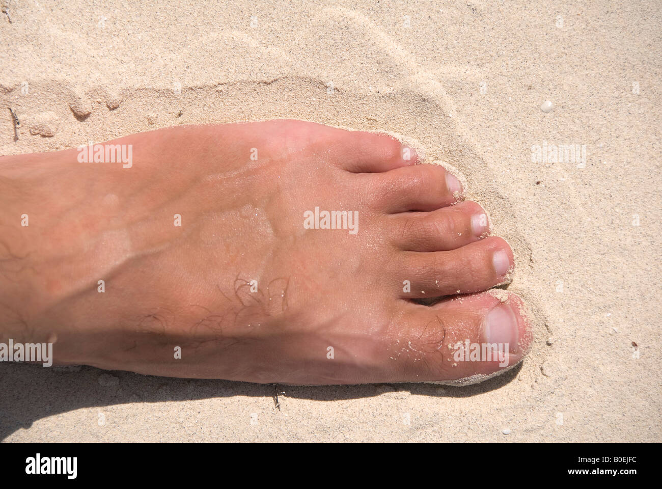 leg on the sand Stock Photo - Alamy