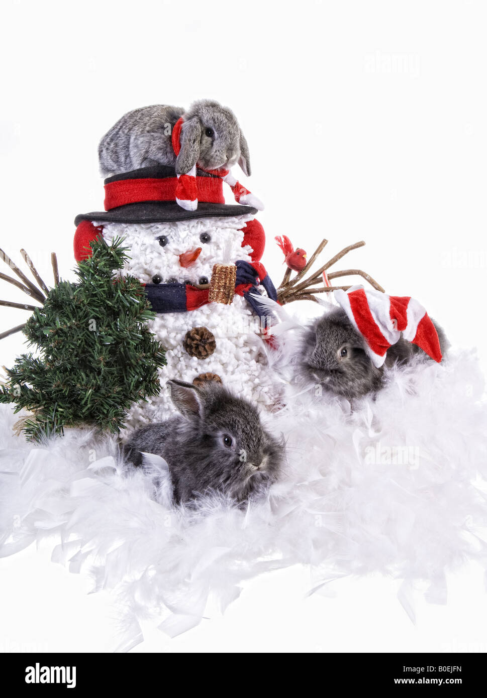 Snowman and rabbits hi-res stock photography and images - Alamy