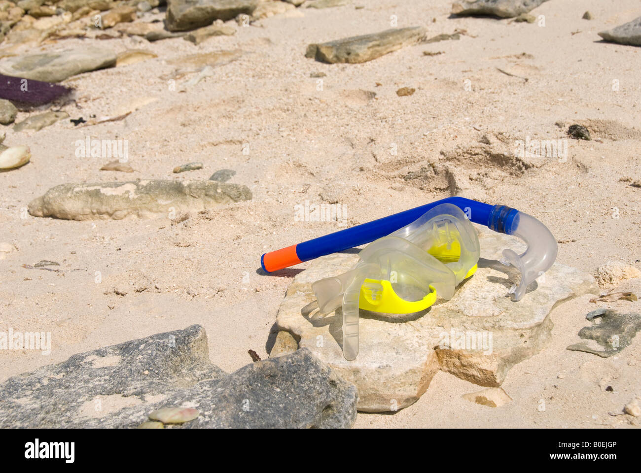 sea still life Stock Photo - Alamy