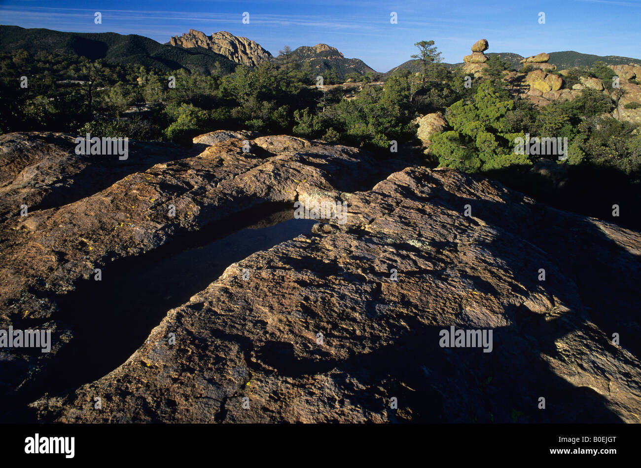 volcanic rock potholes hold water at Chiricahua National Monument ...