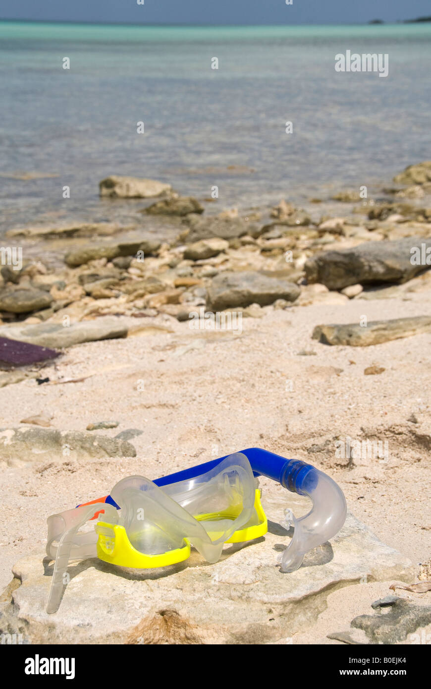 sea still life Stock Photo - Alamy