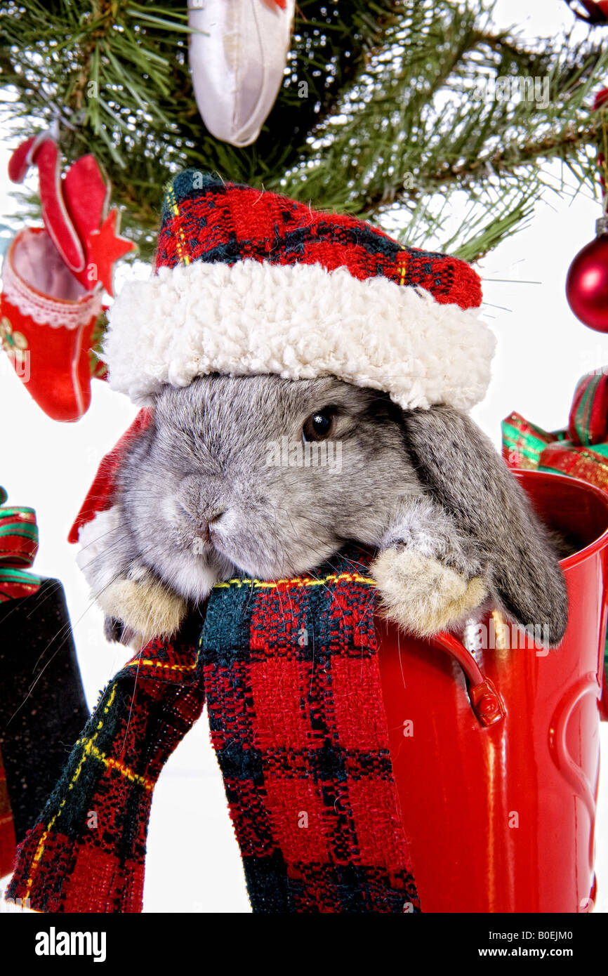 Grey Christmas Rabbit