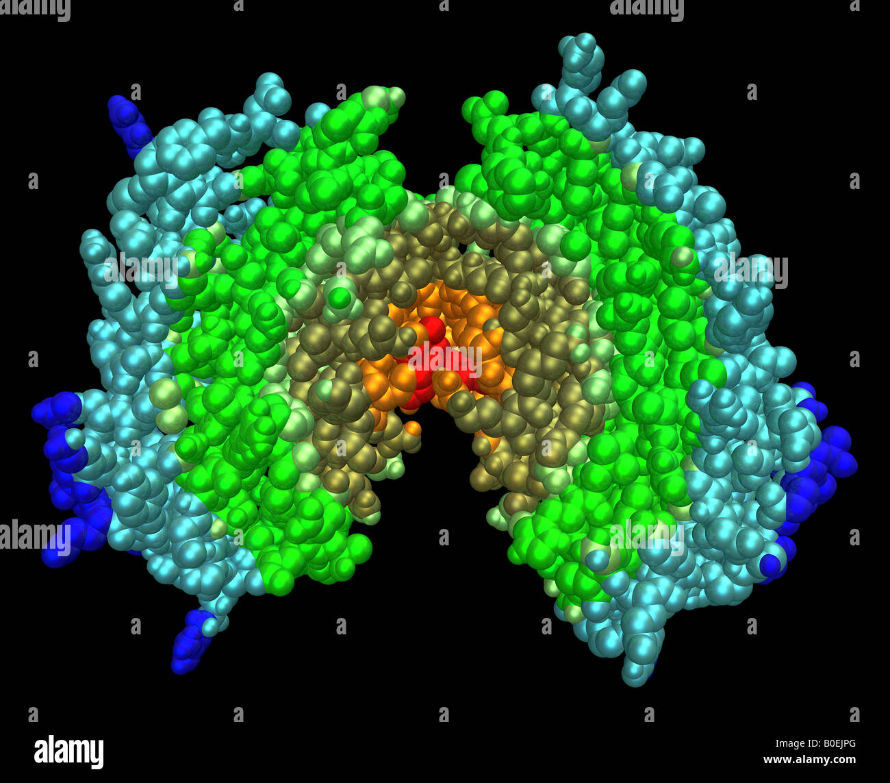Computer generated molecular model showing the crystal structure of ...