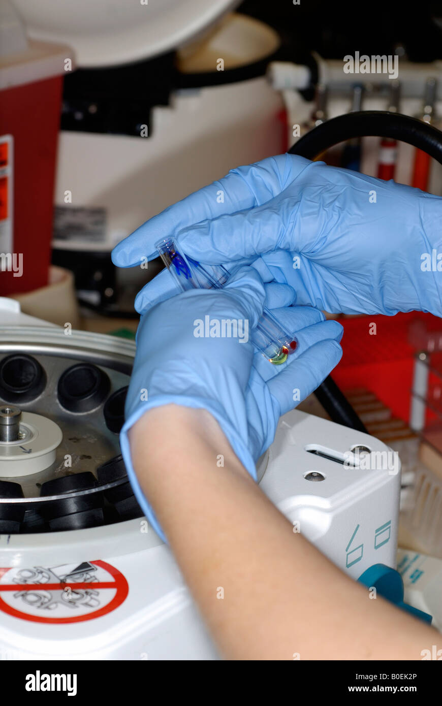 technician analyzing sample of blood in a hospital blood bank ...