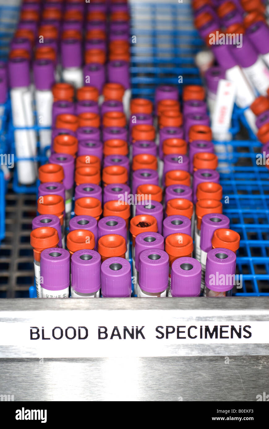 blood bank specimens in a hospital laboratory Stock Photo - Alamy