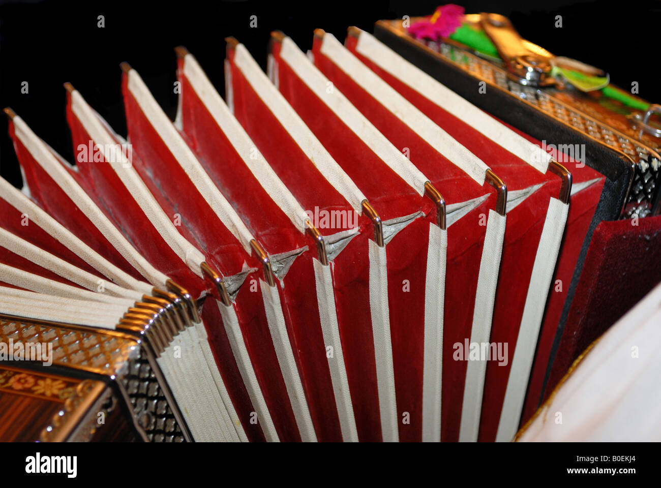 Accordionist detail hi-res stock photography and images - Alamy