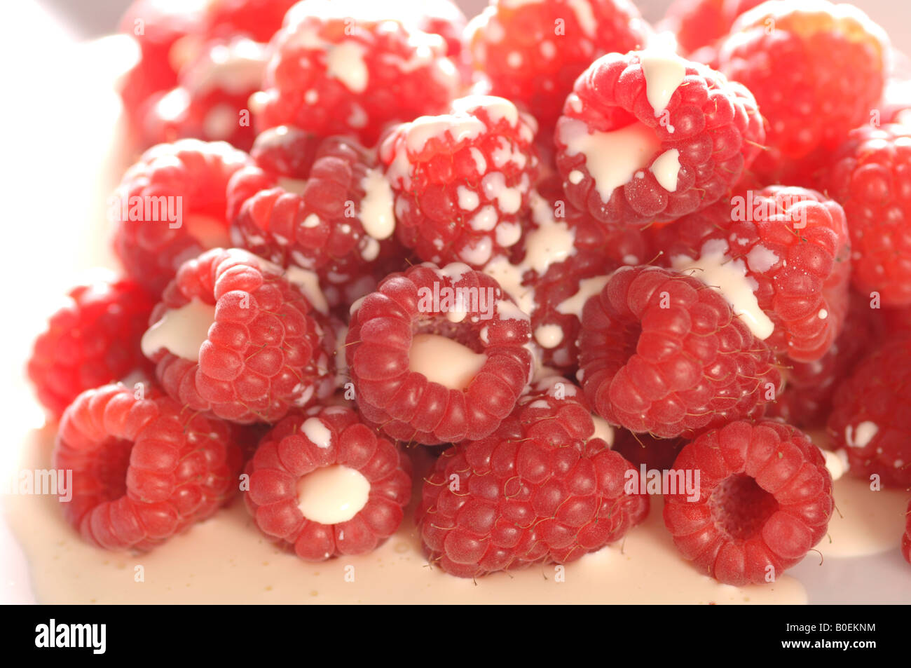 fresh raspberries with cream Stock Photo - Alamy