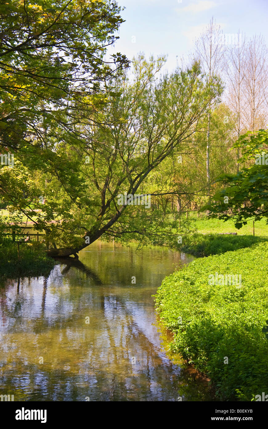 Manton river hi-res stock photography and images - Alamy