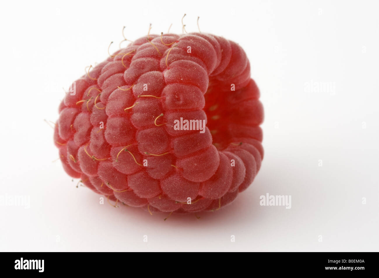 Giving the raspberry hi-res stock photography and images - Alamy