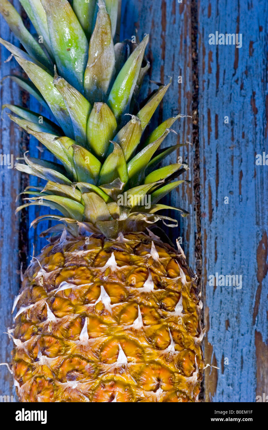 PINEAPPLE ON BLUE BOARDS Stock Photo - Alamy