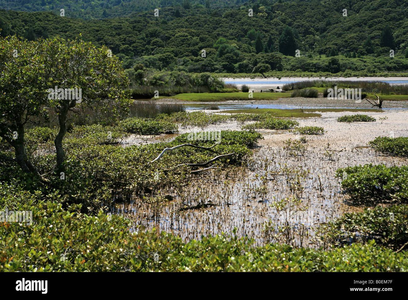 Kennedy Bay High Resolution Stock Photography and Images - Alamy