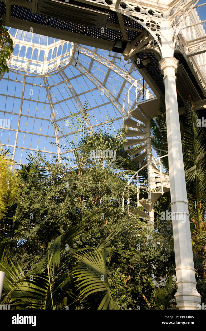 Sefton Park palm house Stock Photo - Alamy
