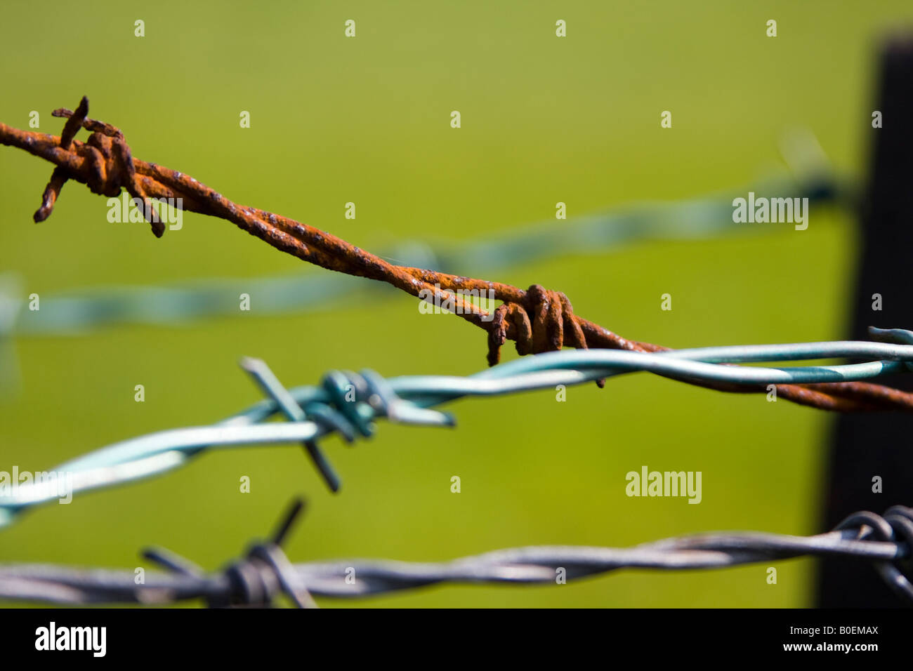 Old and new barbed wire strands Stock Photo - Alamy