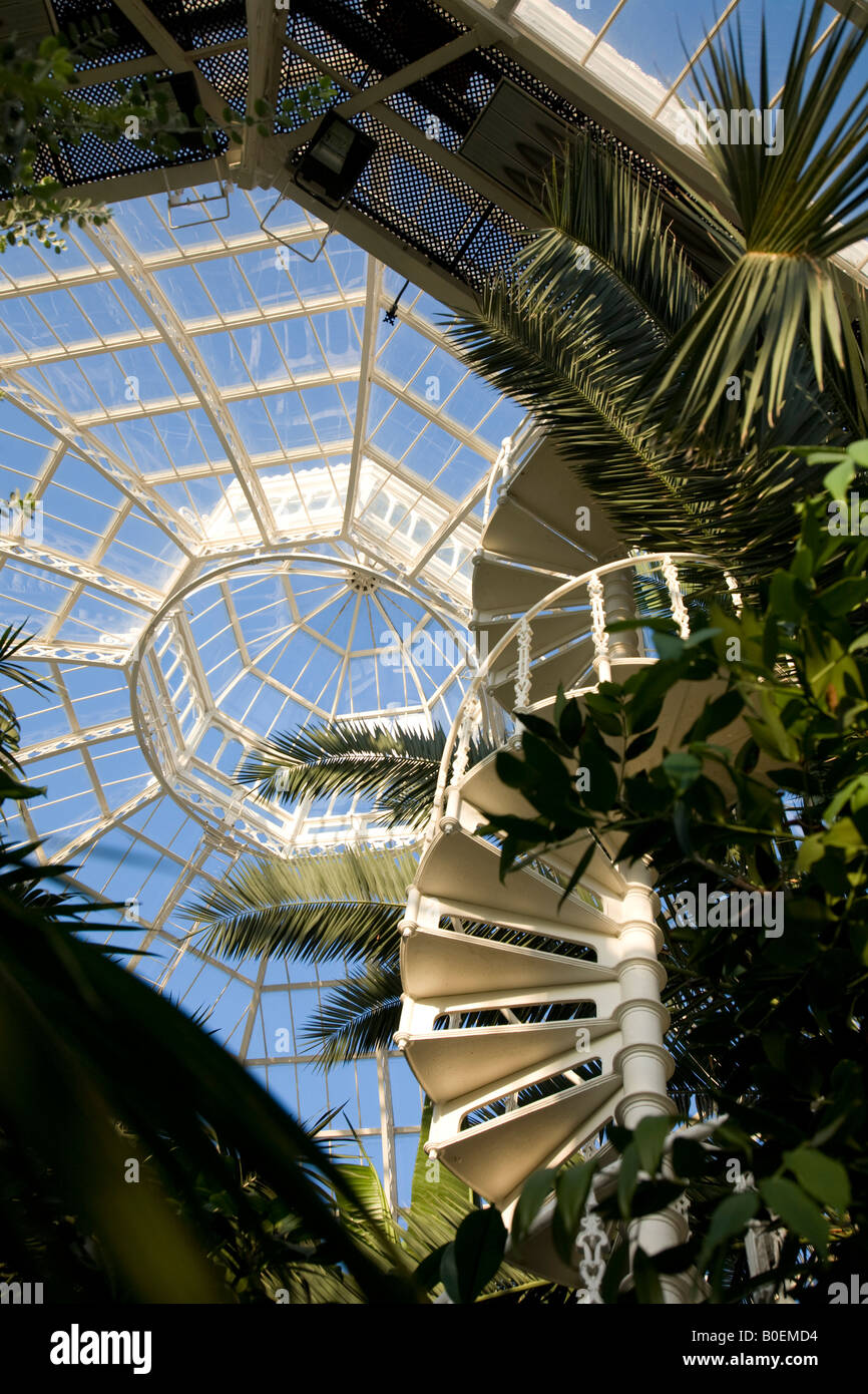 Sefton Park palm house Stock Photo - Alamy