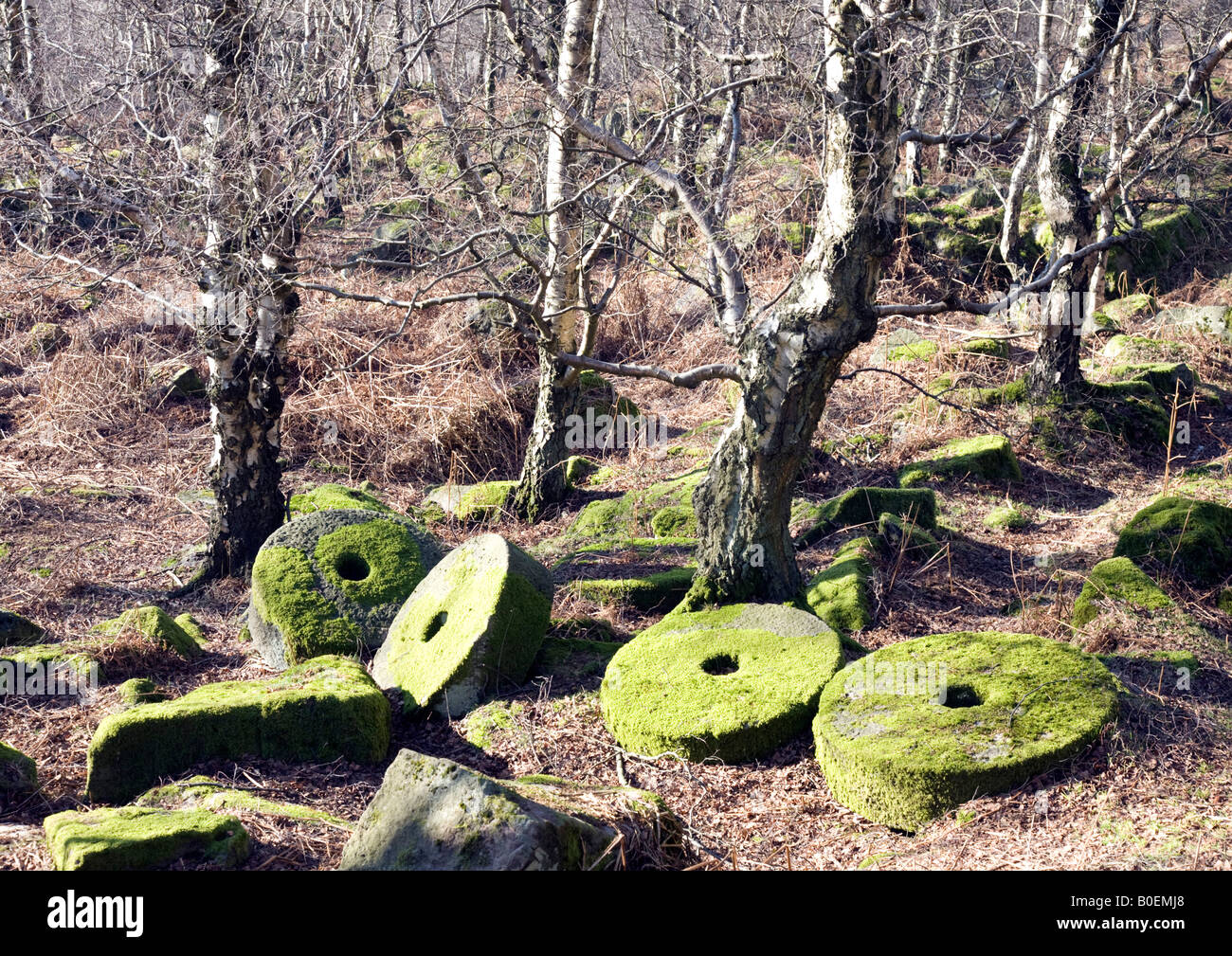 Padley gorge mill stones hi-res stock photography and images - Alamy