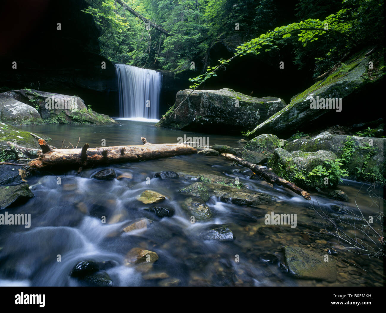 waterfalls daniel boone national forest Stock Photo - Alamy
